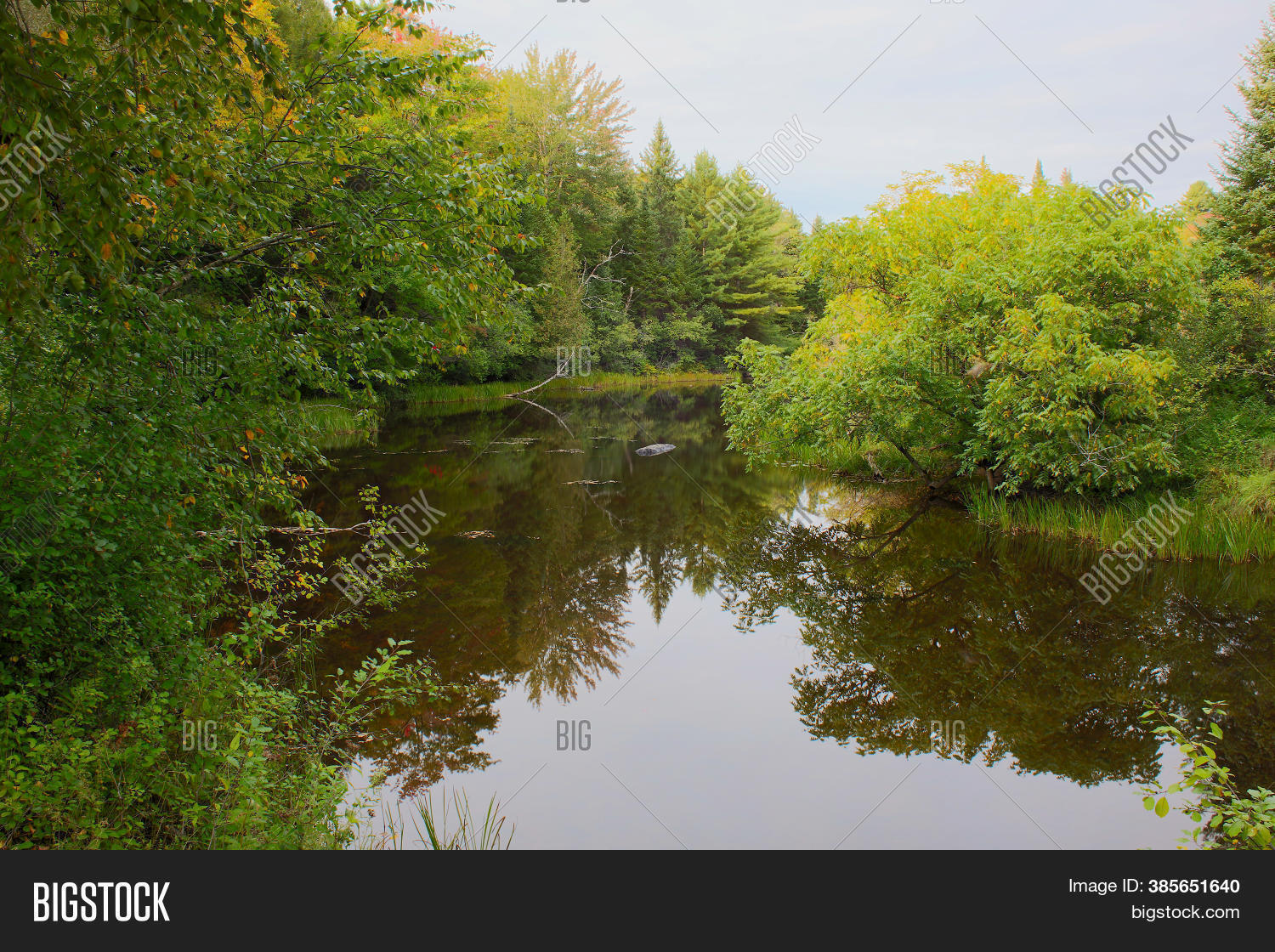 Pond Landscape Image & Photo (Free Trial) | Bigstock