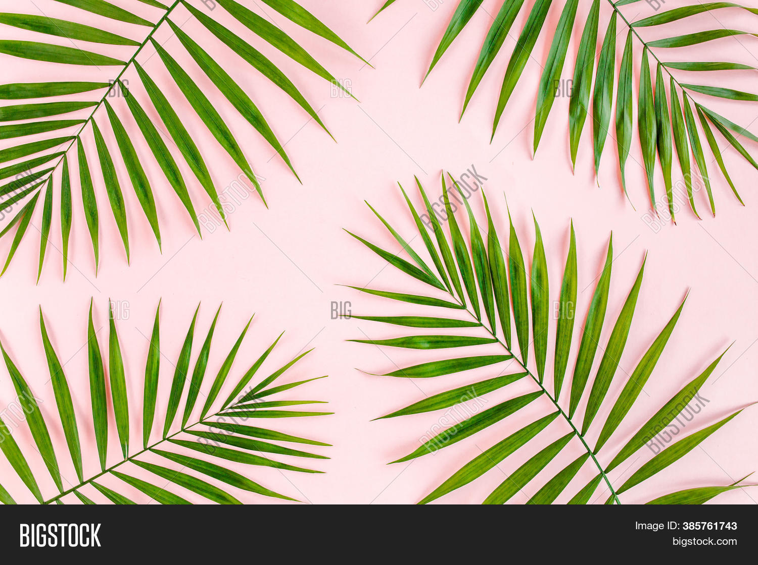 Texture Tropical Green Image & Photo (Free Trial) | Bigstock