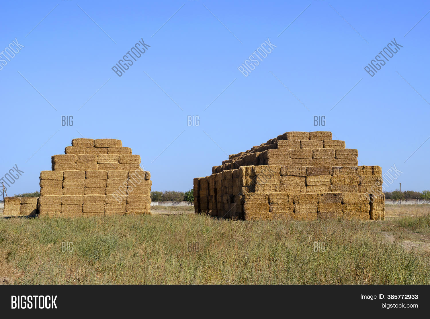 Piled Stacks Dry Straw Image & Photo (Free Trial) | Bigstock