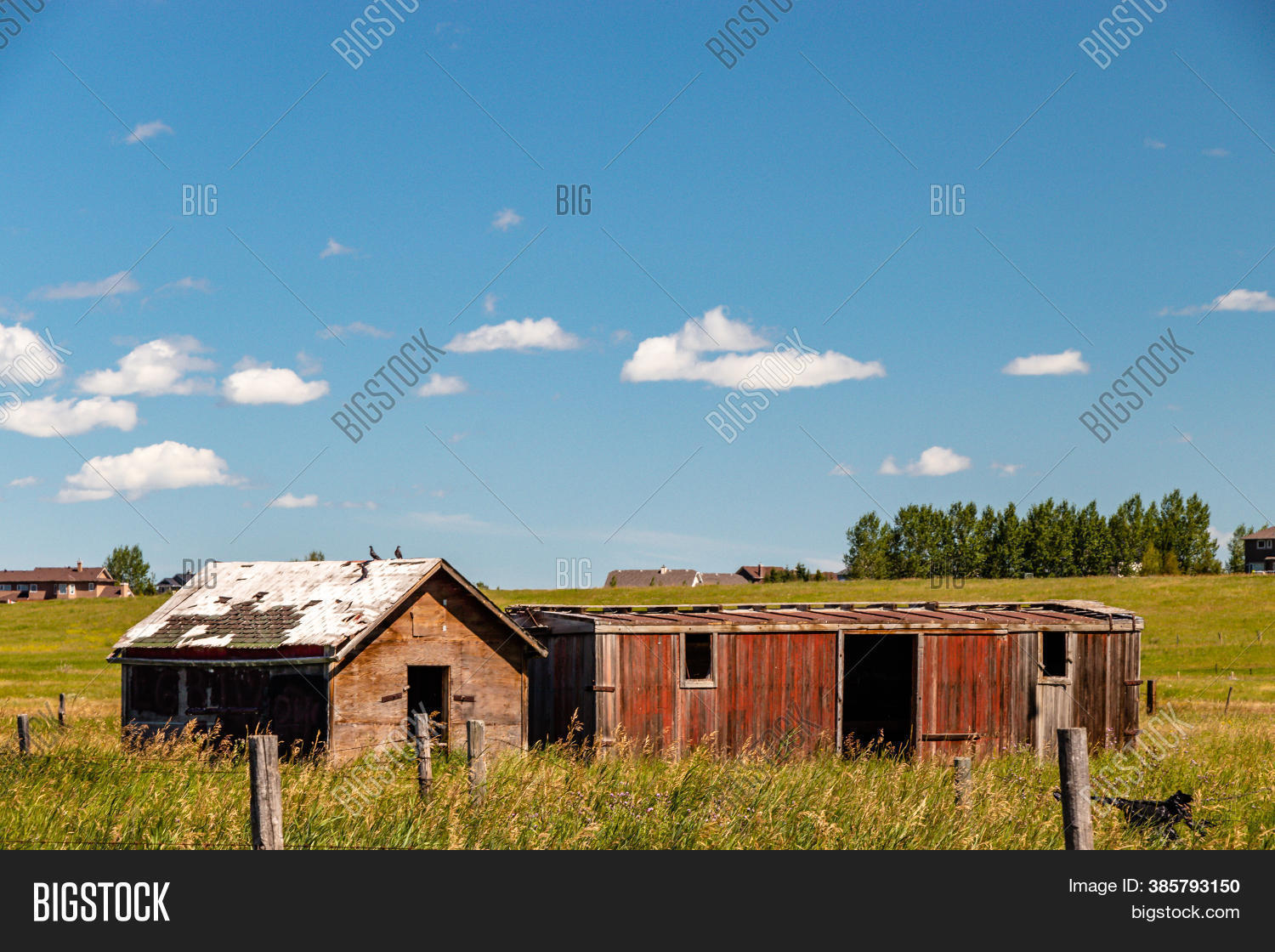 Rustic Farm Buildings Image & Photo (Free Trial) | Bigstock