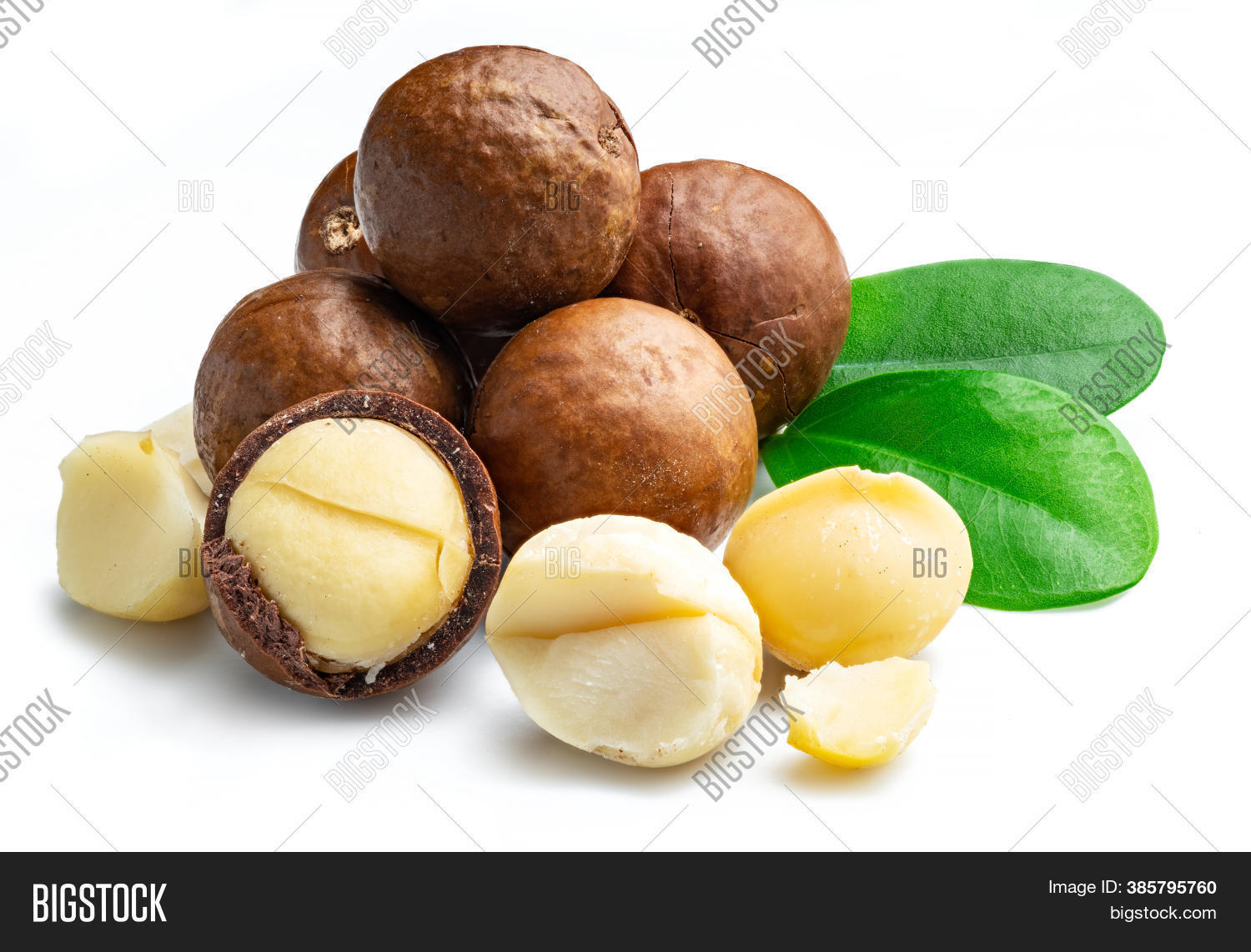 Macadamia Nuts Peeled Image & Photo (Free Trial) | Bigstock