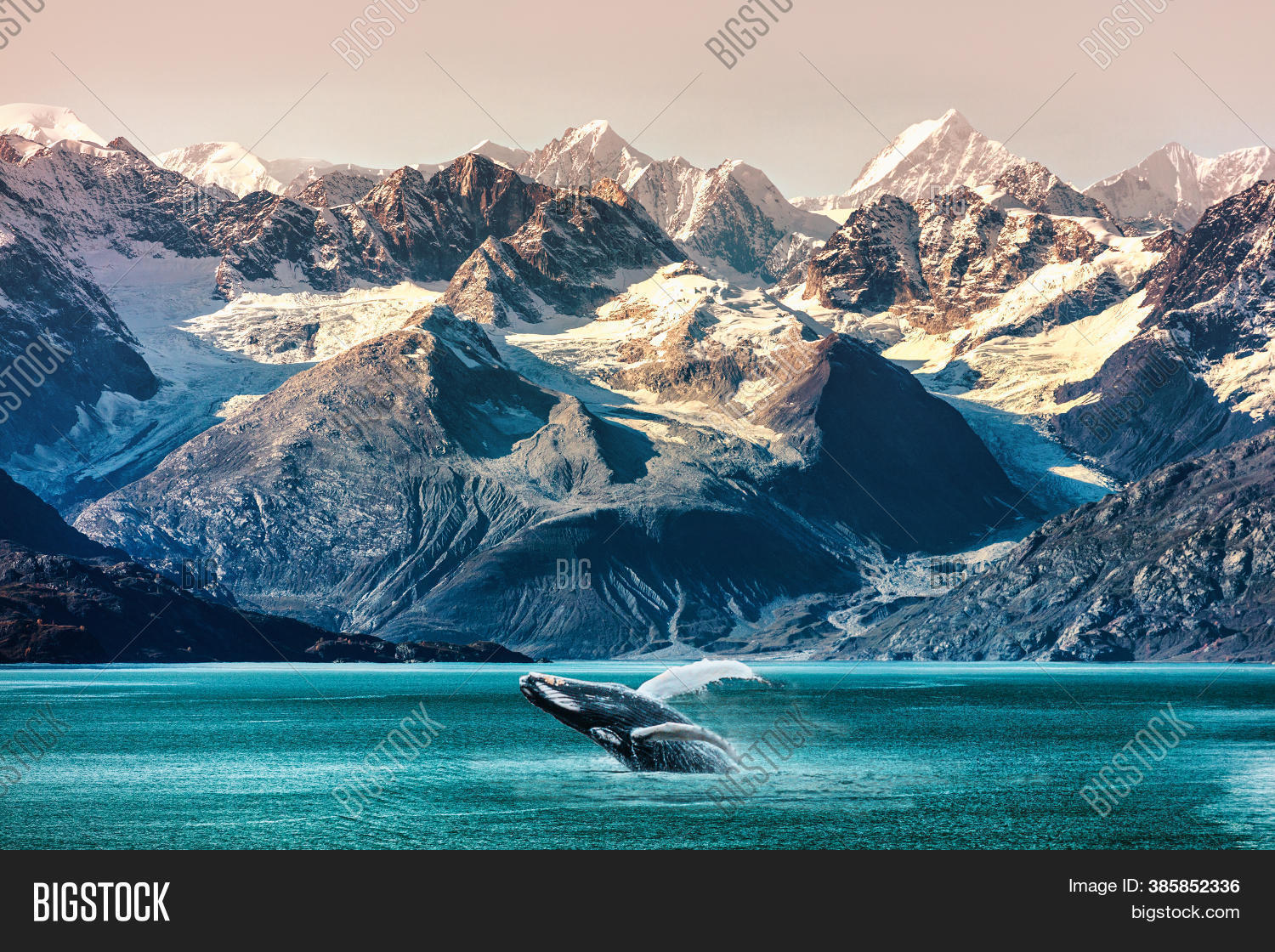Alaska Whale Watching Image & Photo (Free Trial) | Bigstock