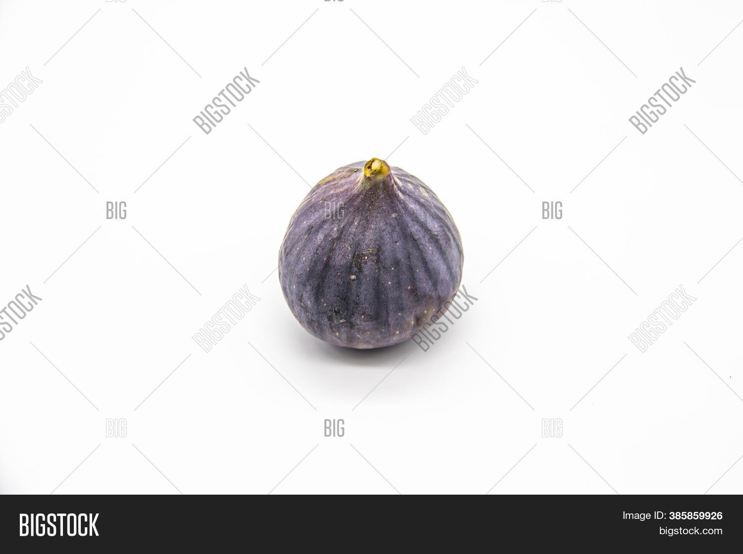 One Fig Isolated On Image & Photo (Free Trial) | Bigstock