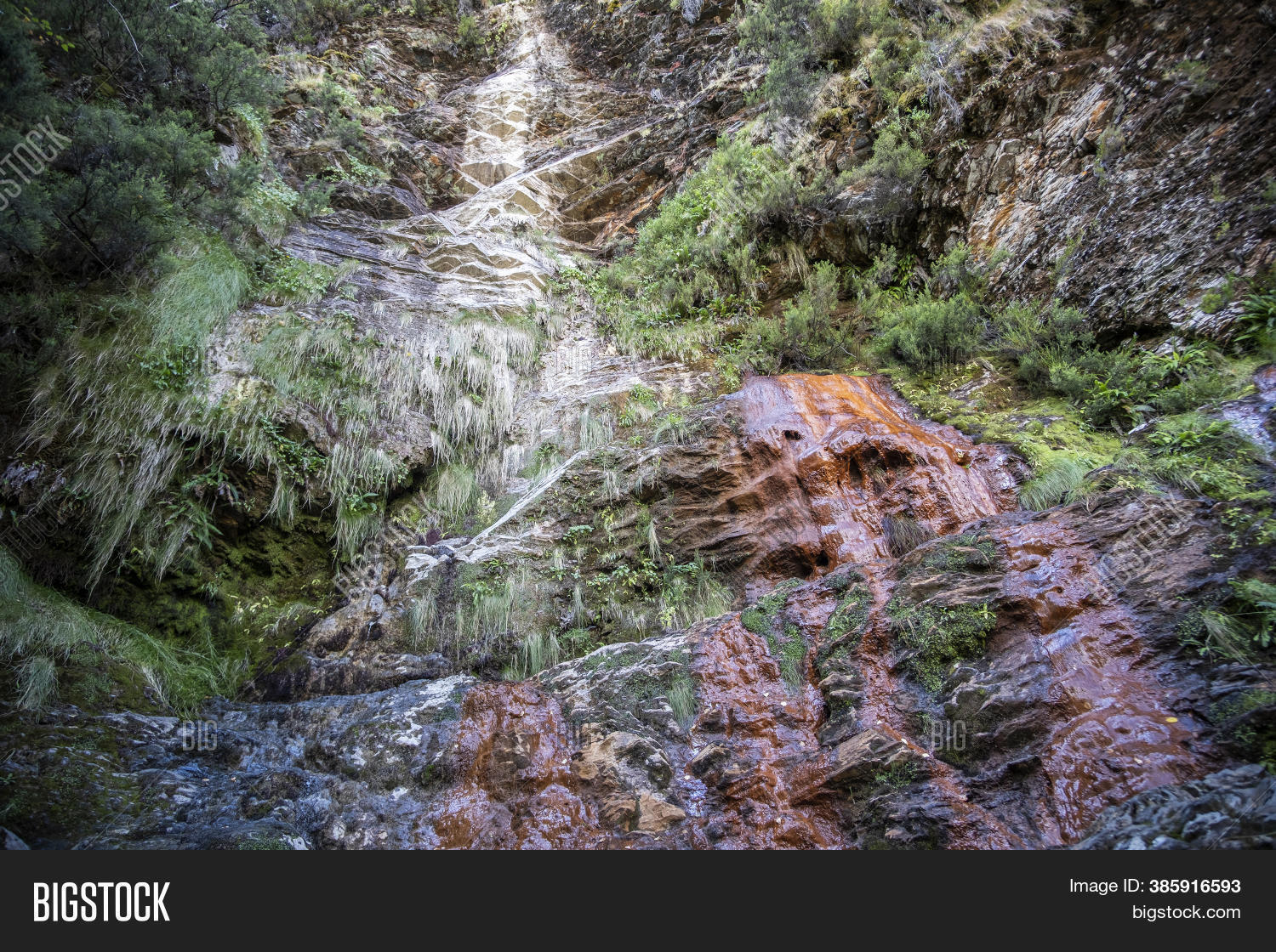 Humid Rocks Red Yellow Image & Photo (Free Trial) | Bigstock