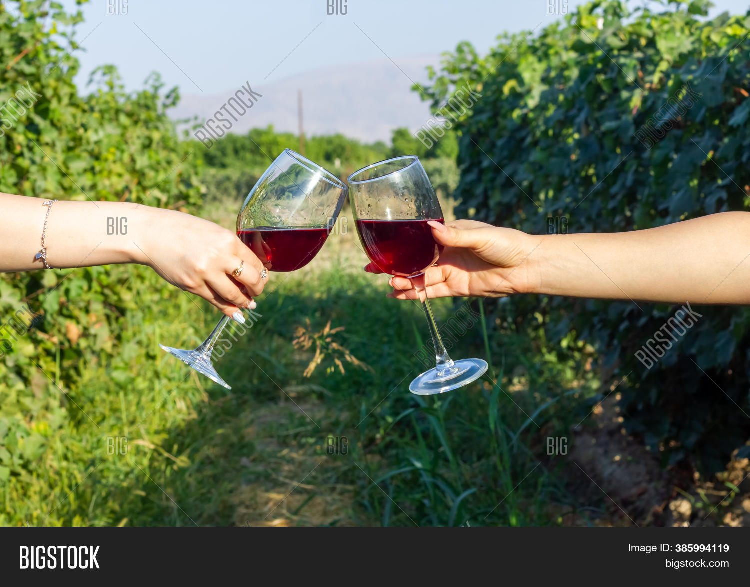 Hands Holding Wine Image & Photo (Free Trial) | Bigstock