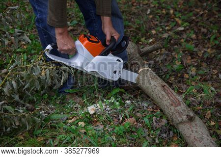 Lumberman Electric Saw Image & Photo (Free Trial) | Bigstock