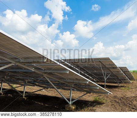 Row Back Side View Image & Photo (Free Trial) | Bigstock