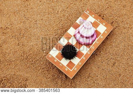 Playing Chess On Board Image & Photo (Free Trial) | Bigstock