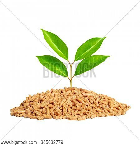 Wood Pellets Tree Image & Photo (Free Trial) | Bigstock