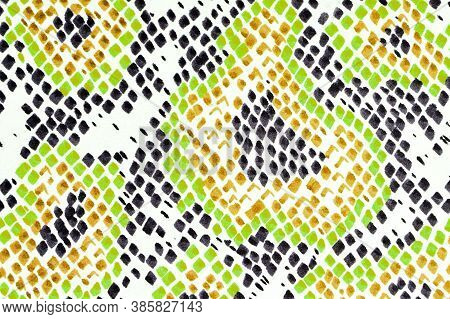 Snake Skin Pattern. Image & Photo (Free Trial) | Bigstock