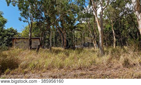 Very Old Shack Bush Image & Photo (Free Trial) | Bigstock