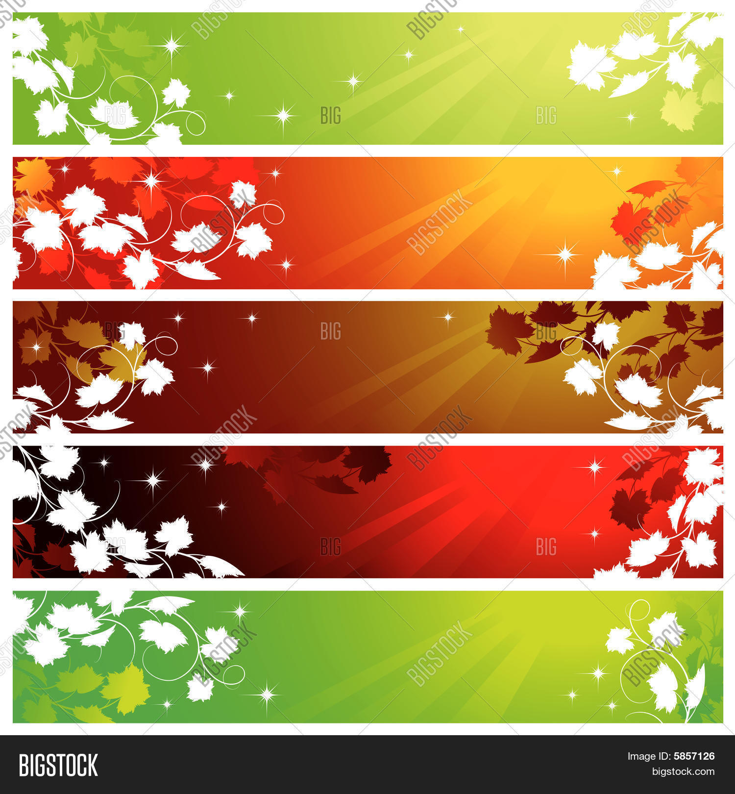 Banners Vine Vector & Photo (Free Trial) | Bigstock