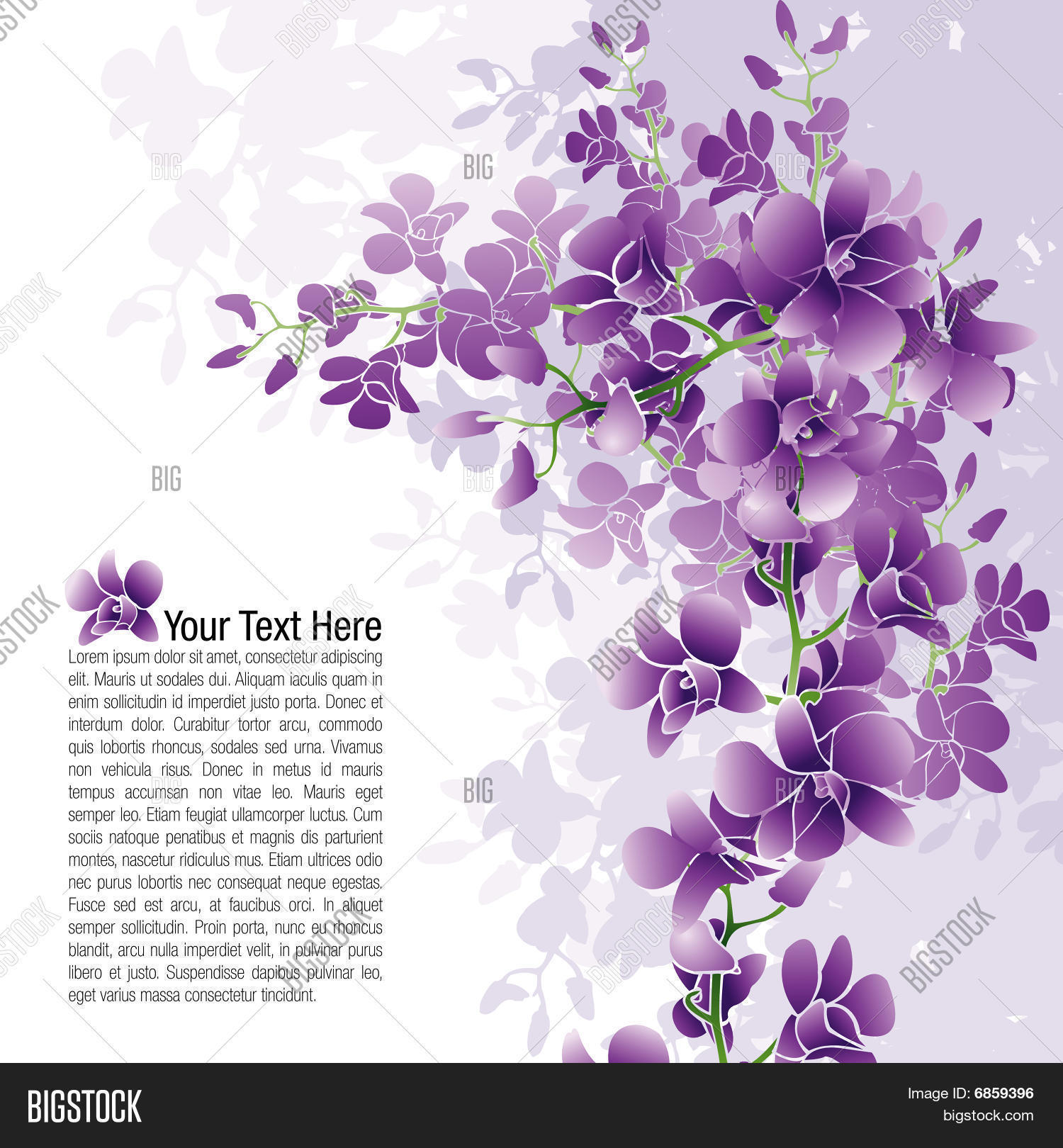 Purple Orchids Vector & Photo (Free Trial) | Bigstock