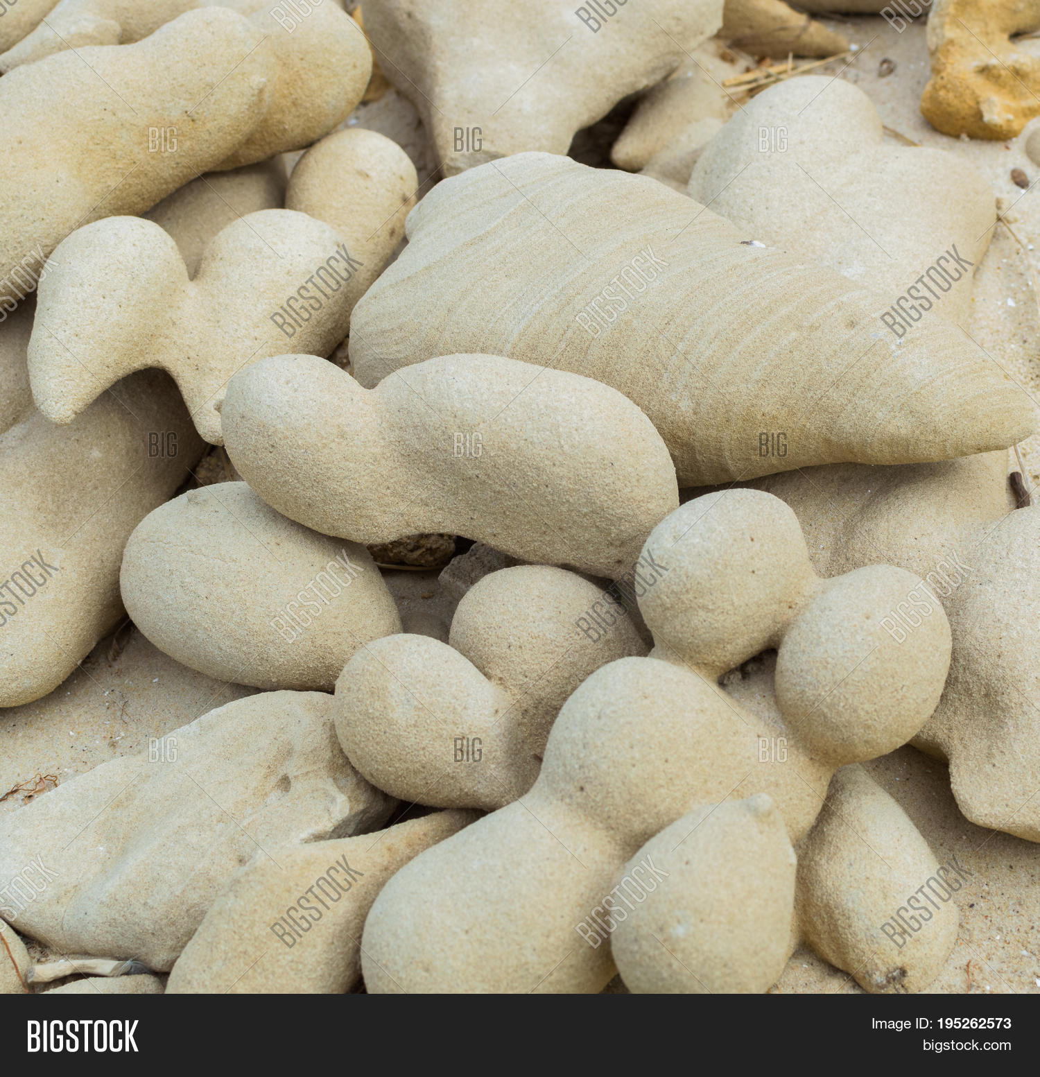Sand Limestone Mineral Image & Photo (Free Trial) | Bigstock