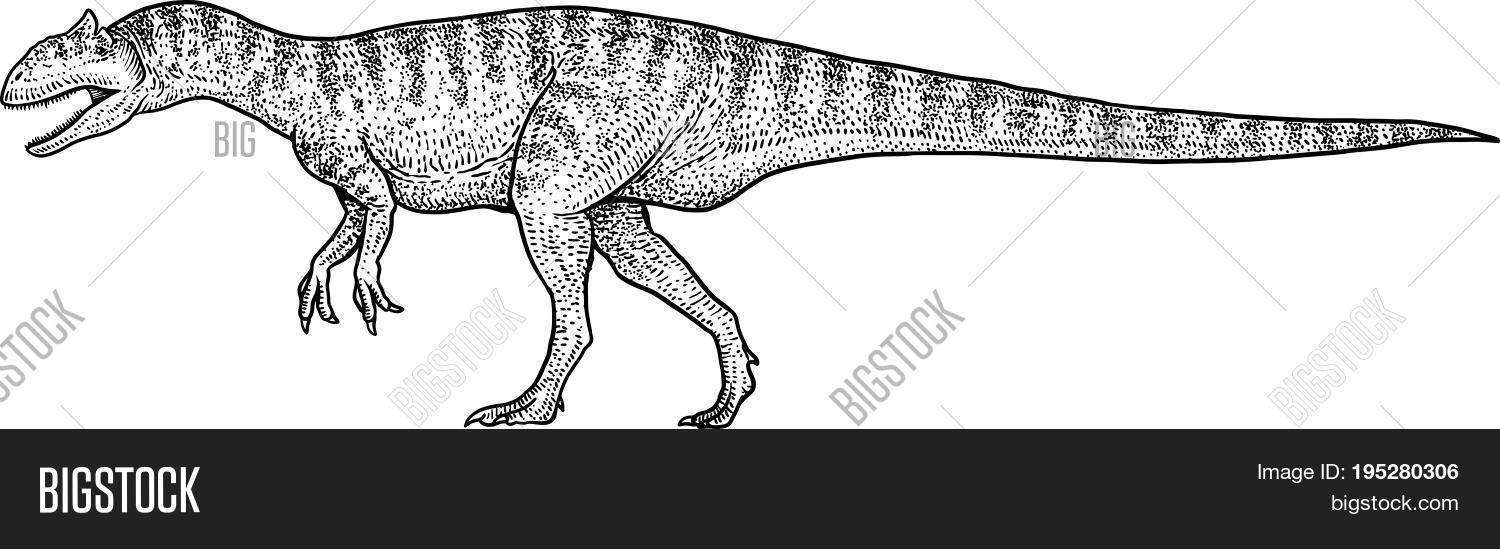Allosaurus Vector & Photo (Free Trial) | Bigstock
