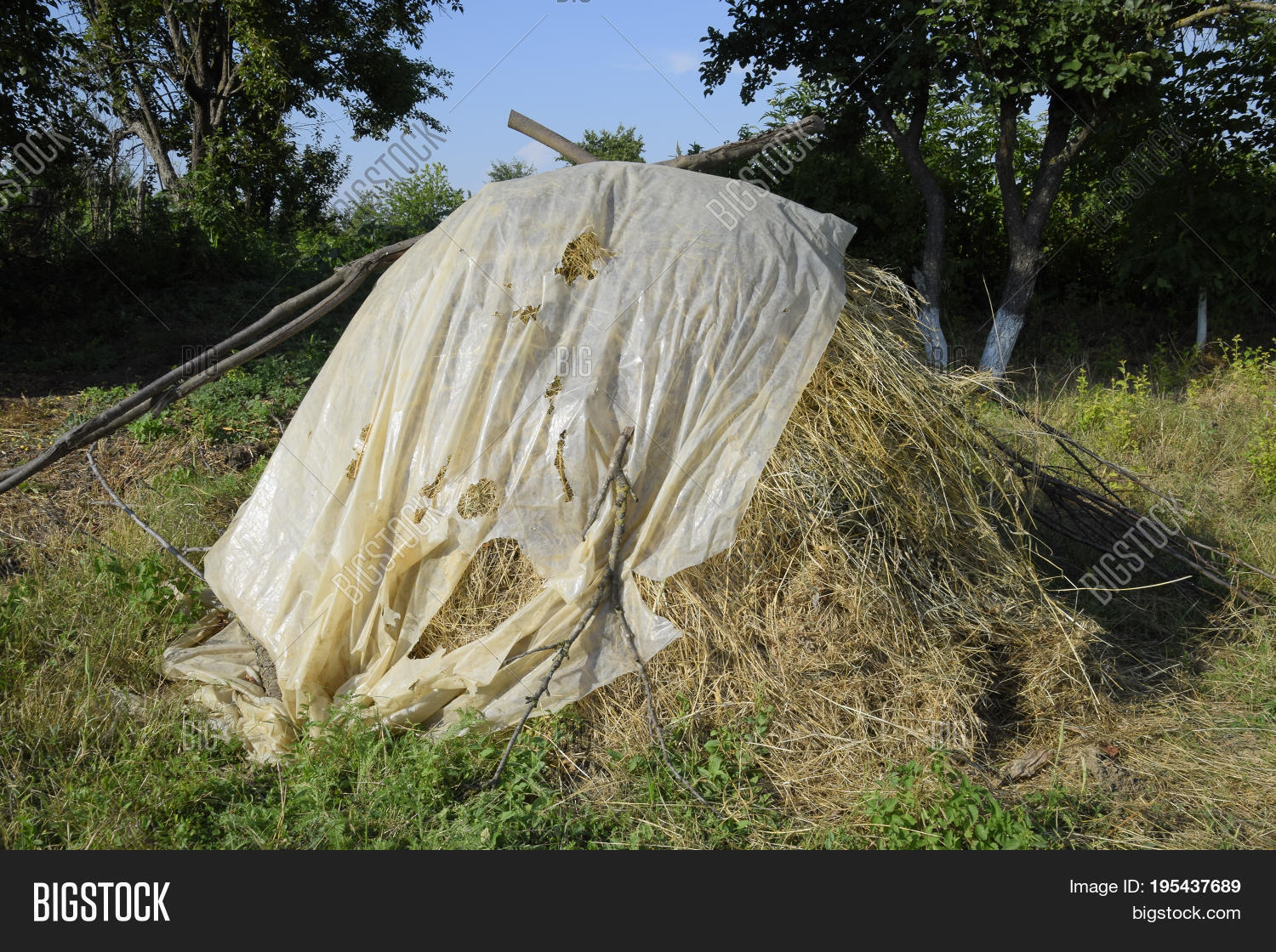 Haystack. Haystack Image & Photo (Free Trial) | Bigstock