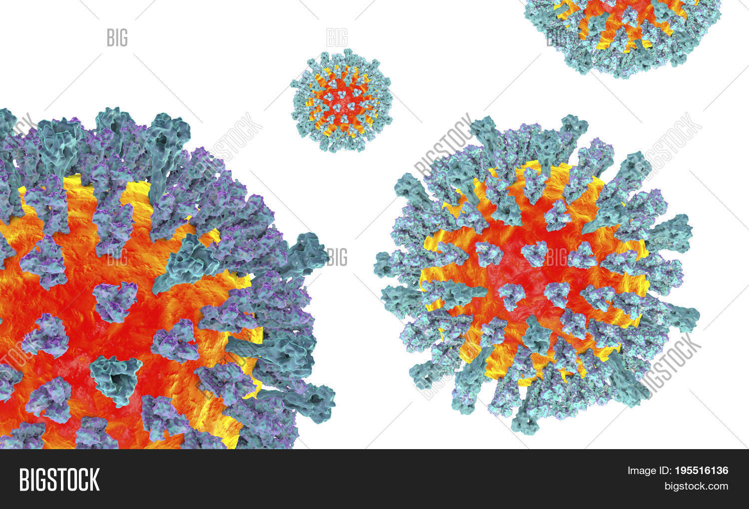 Measles Viruses Image & Photo (Free Trial) | Bigstock
