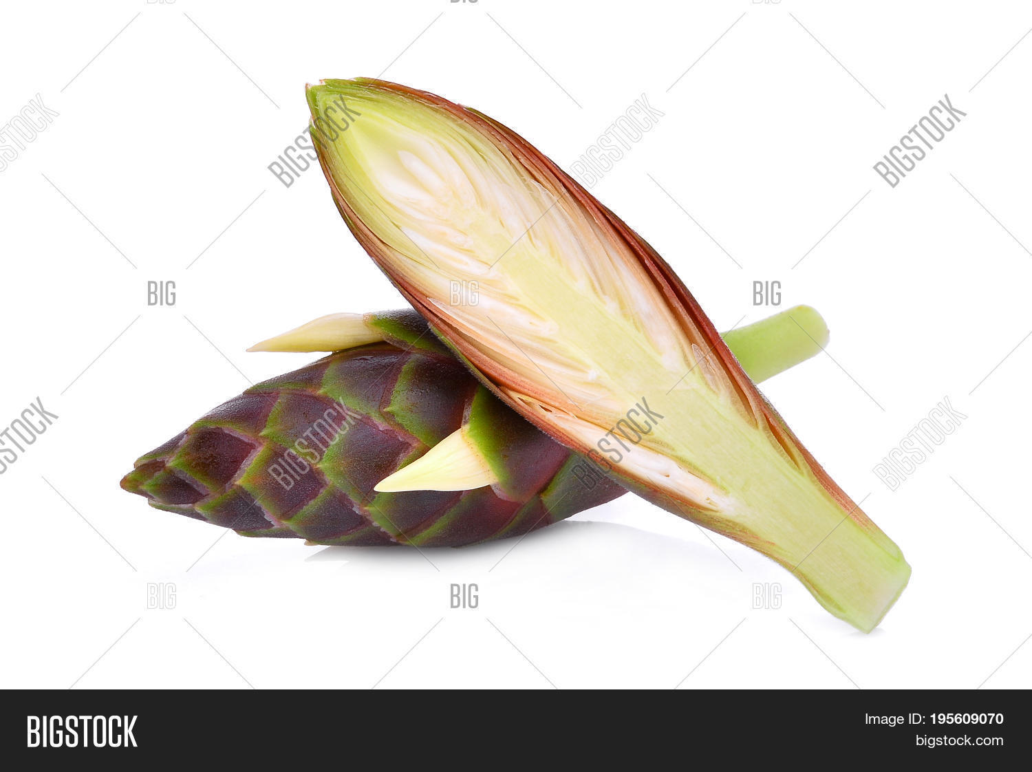 Phlai Cassumunar Image & Photo (Free Trial) | Bigstock