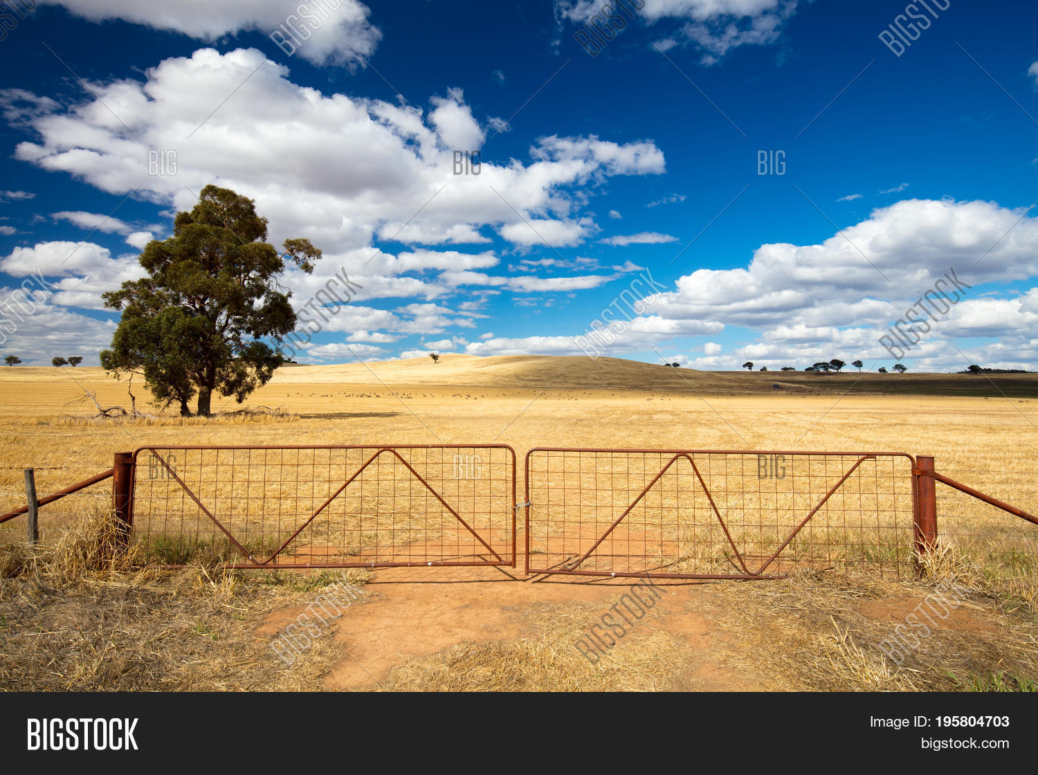 Vast Expanse Farm Image & Photo (Free Trial) | Bigstock
