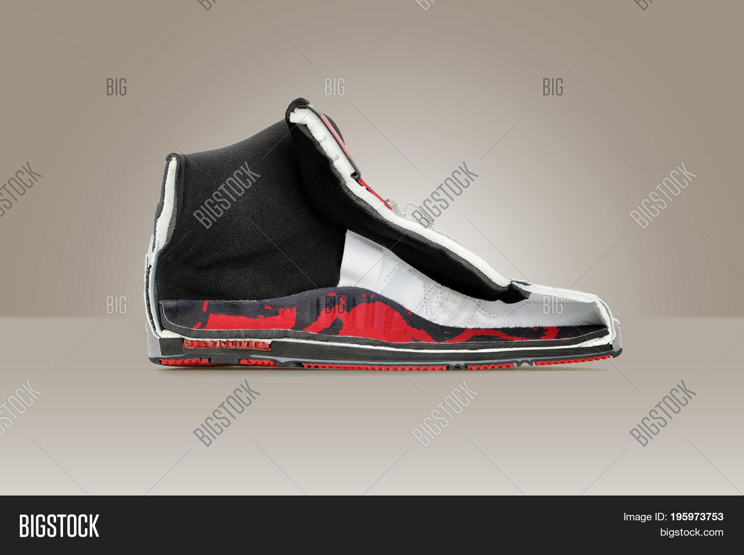 Cut Half Sneaker All Image & Photo (Free Trial) | Bigstock