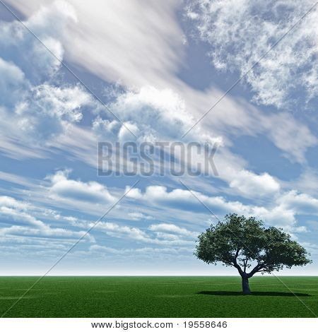 Alone Tree Beautiful Image & Photo (Free Trial) | Bigstock