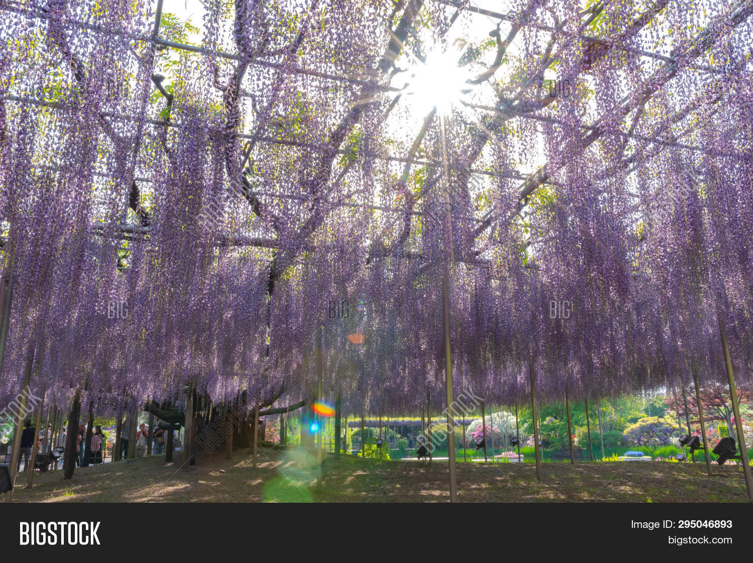 Tochigi Prefecture, Image & Photo (Free Trial) | Bigstock