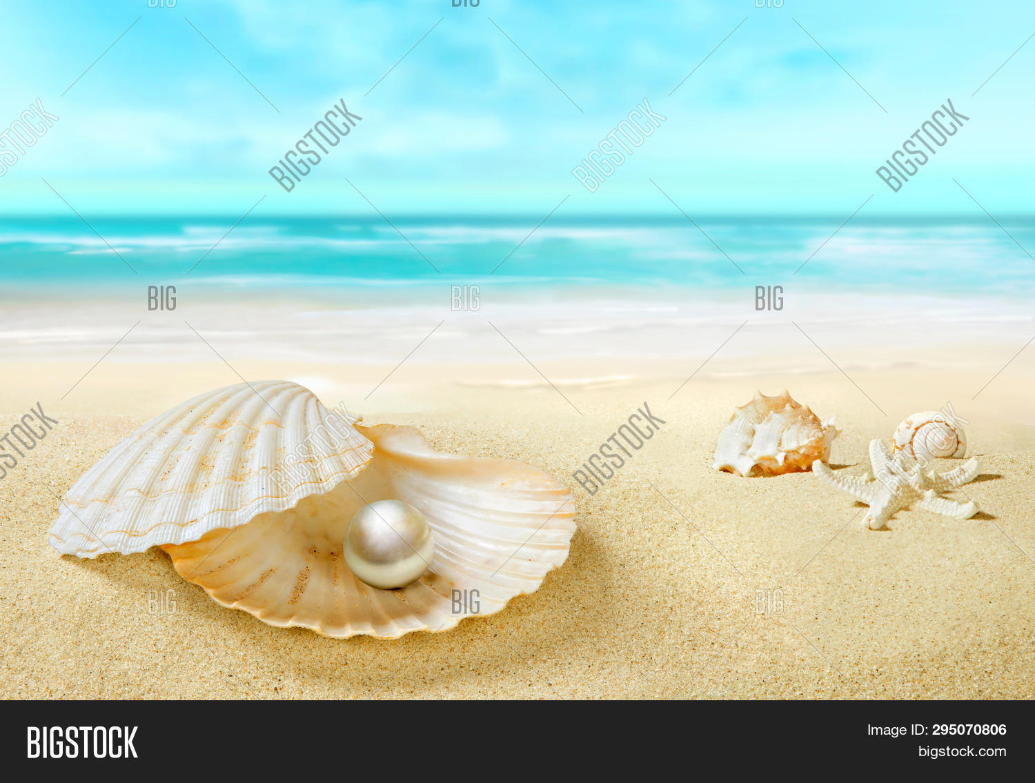Open Shell With Pearl