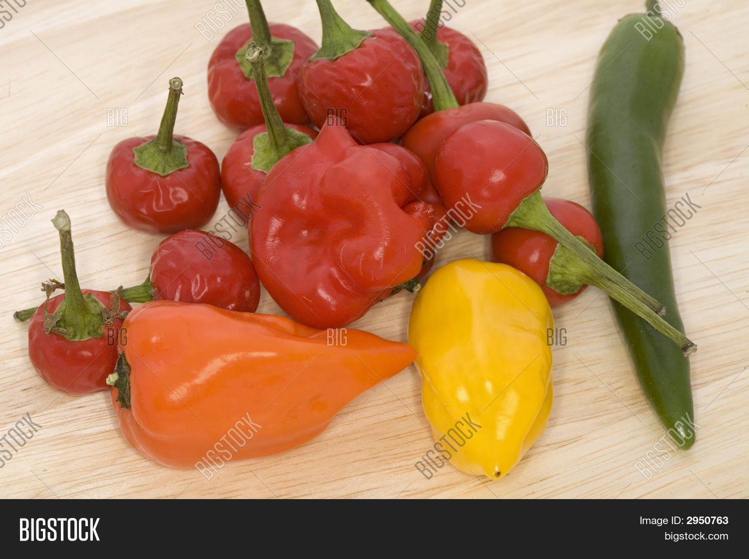 Chilli Image & Photo (Free Trial) | Bigstock
