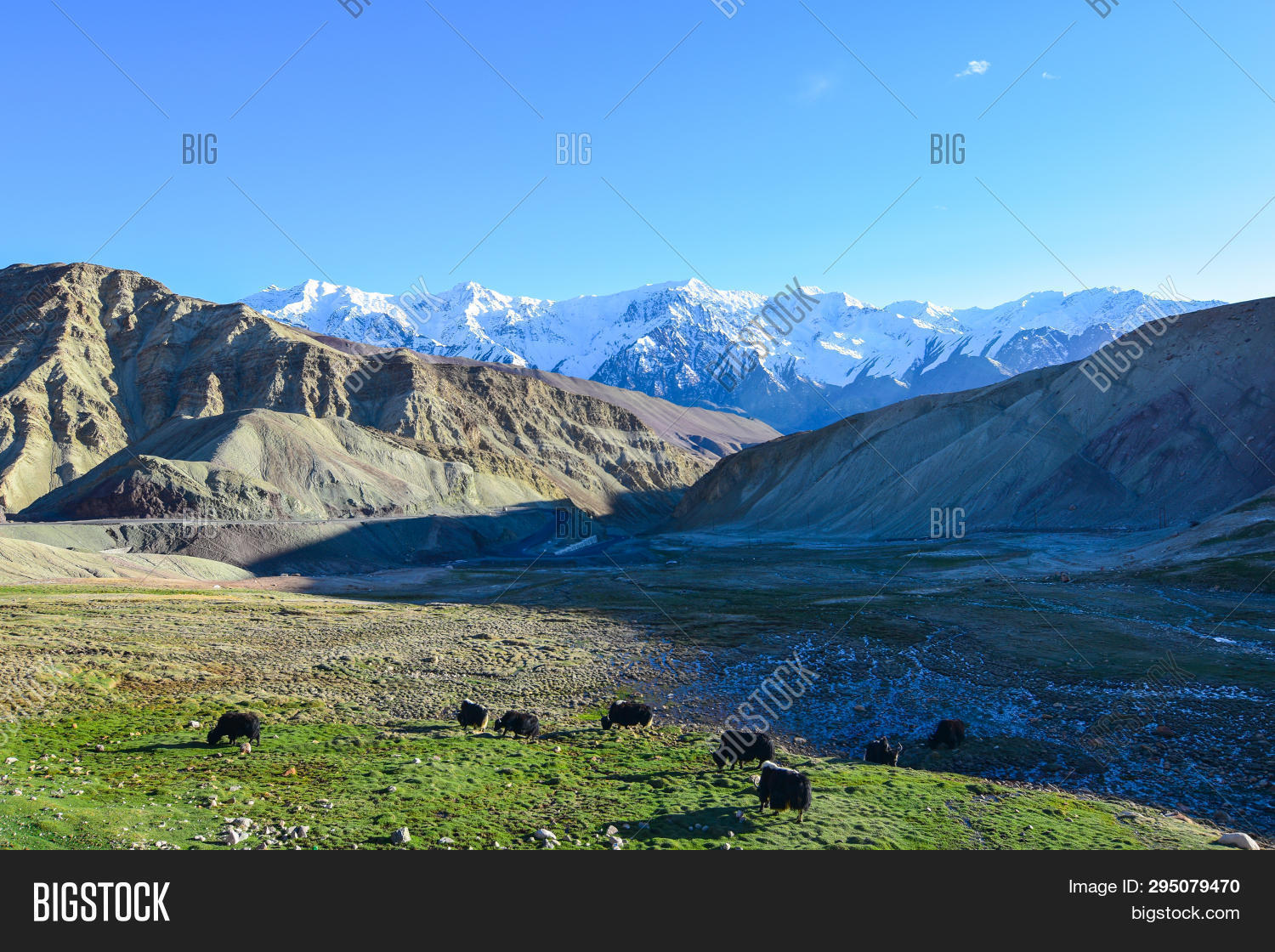 On Road Leh Ladakh Image & Photo (Free Trial) | Bigstock
