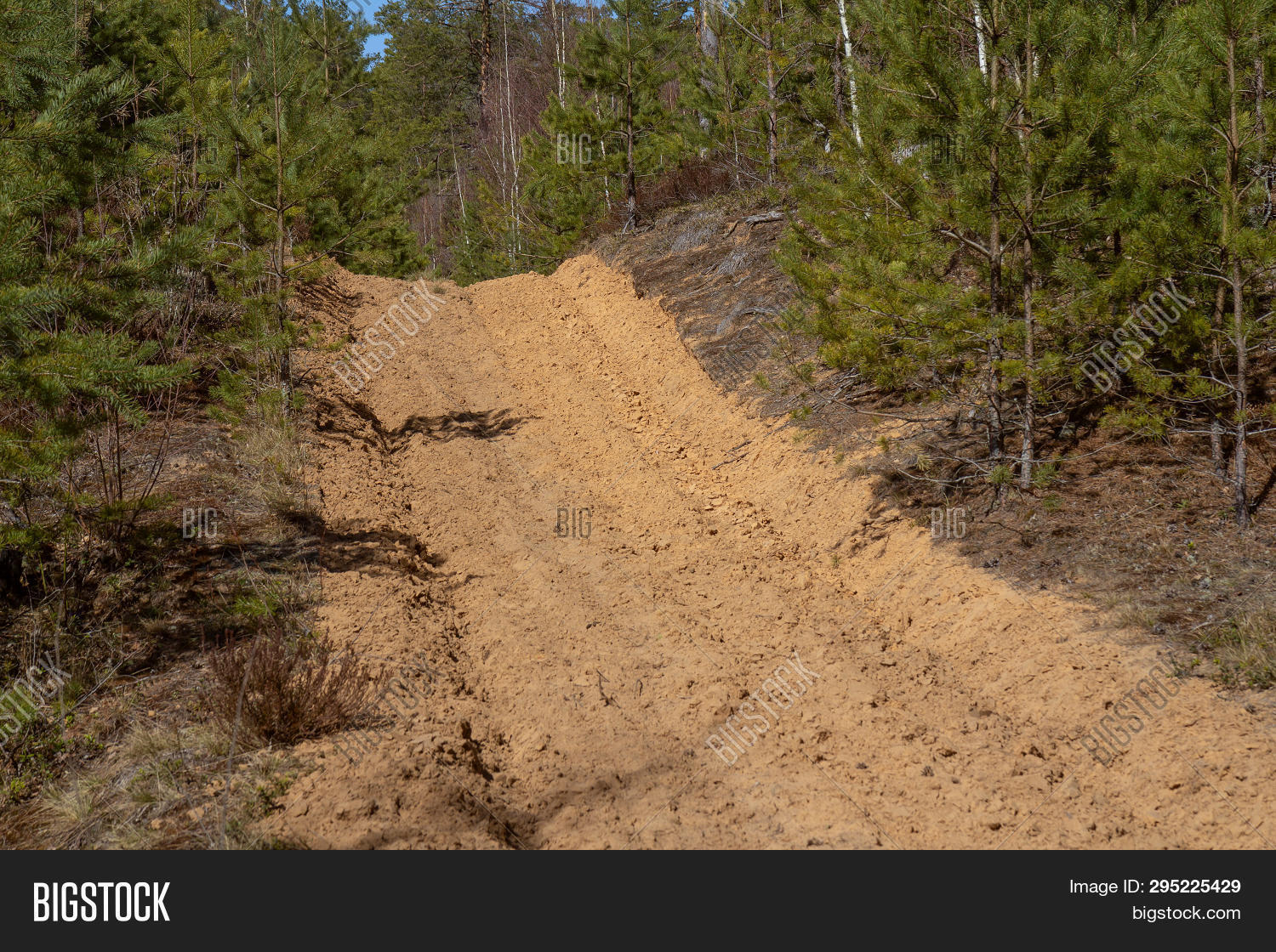 Forest Protection Image & Photo (Free Trial) | Bigstock