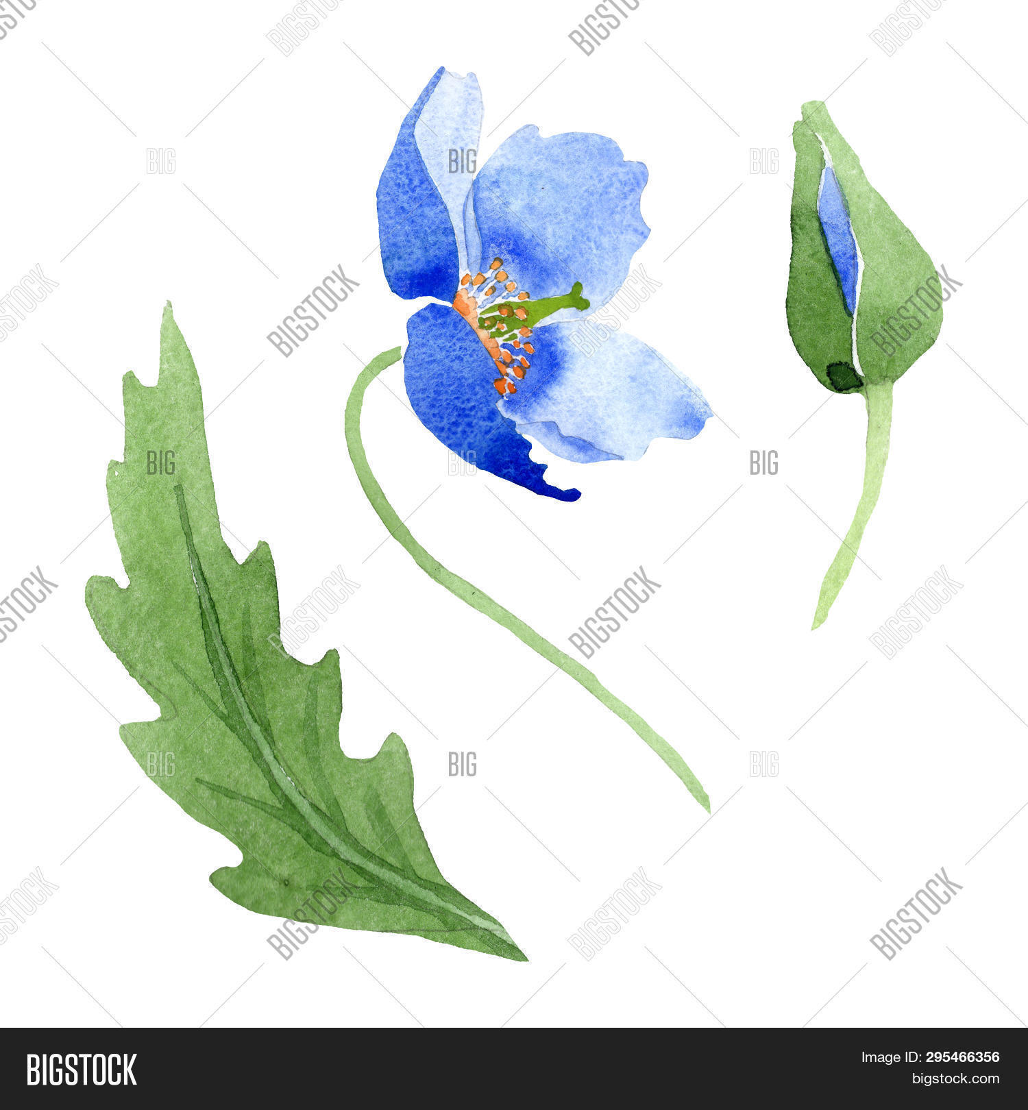 Blue Poppy Floral Image & Photo (Free Trial) | Bigstock