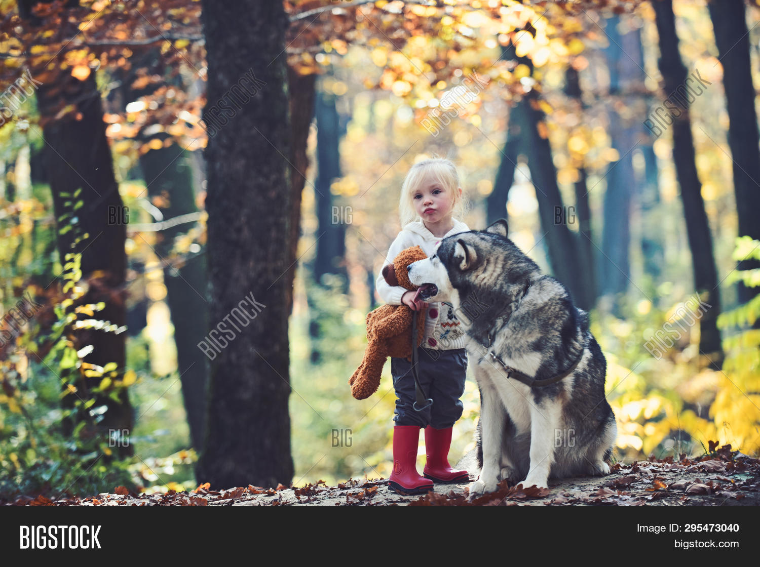 Red Riding Hood Wolf Image & Photo (Free Trial) | Bigstock