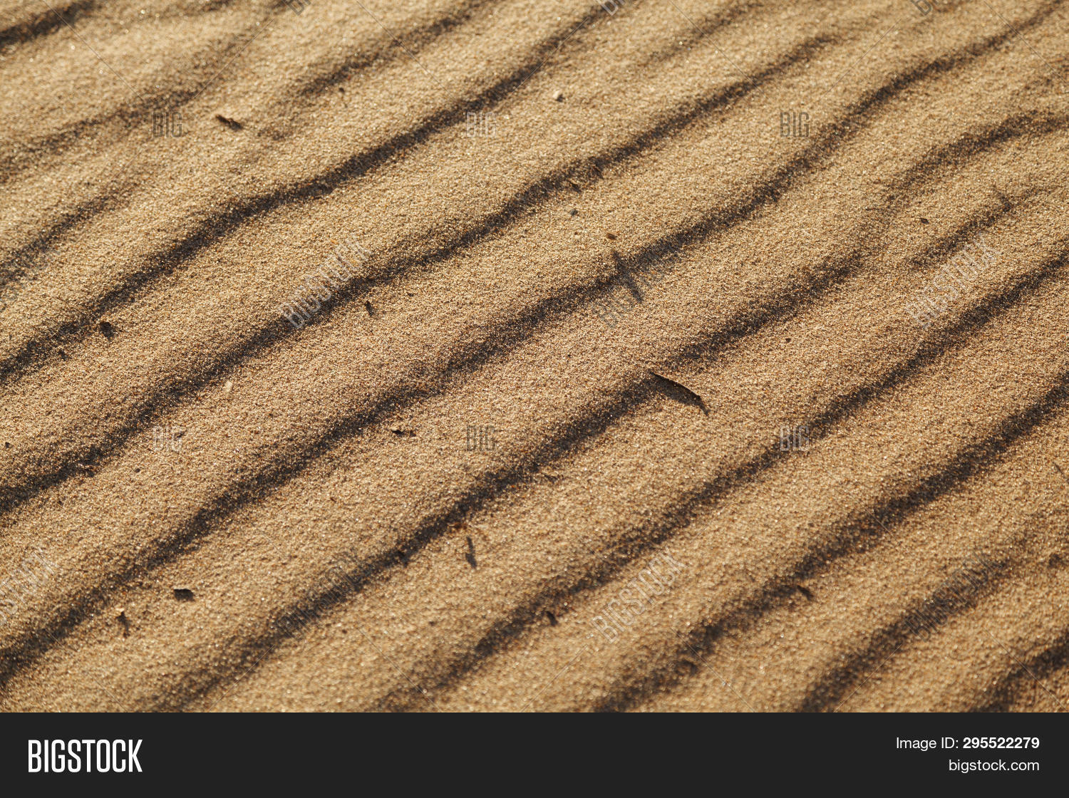 Texture Sandy Surface Image & Photo (Free Trial) | Bigstock