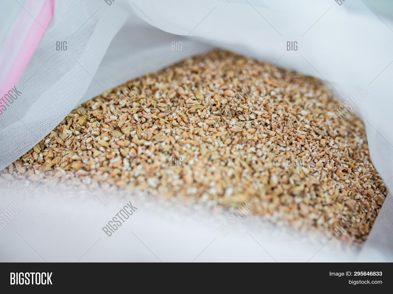 Beer Wort Starting Image & Photo (Free Trial) | Bigstock