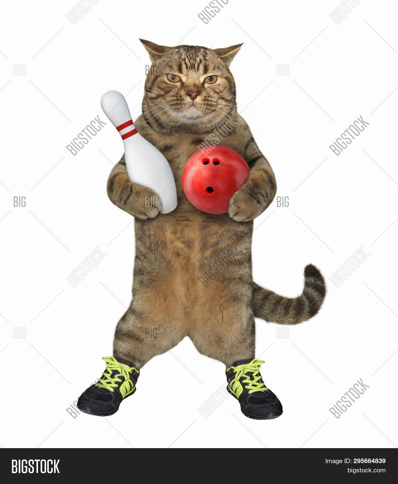 Cat Player Sports Image & Photo (Free Trial) | Bigstock