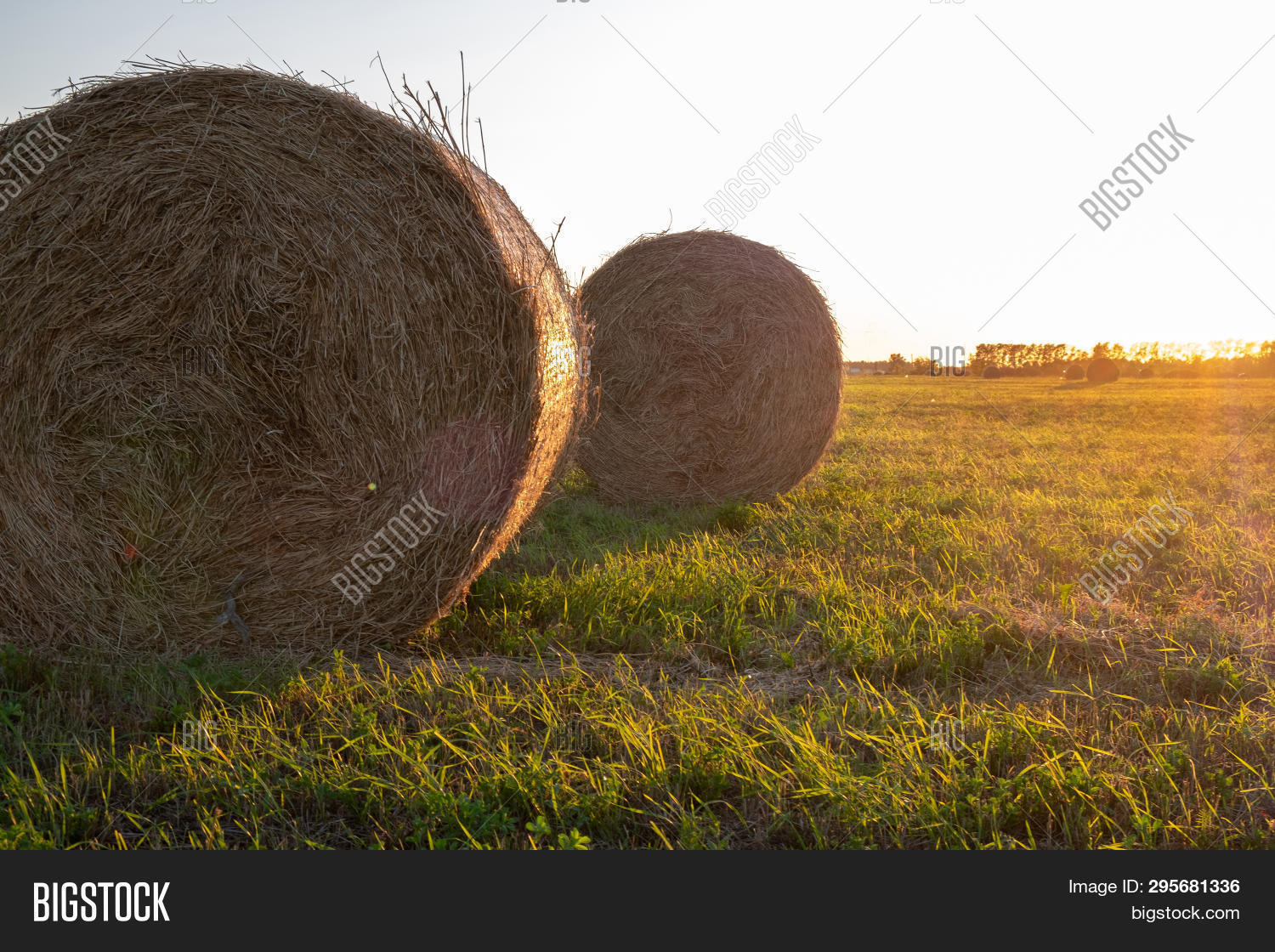 Rolls Pressed Hay Image & Photo (Free Trial) | Bigstock