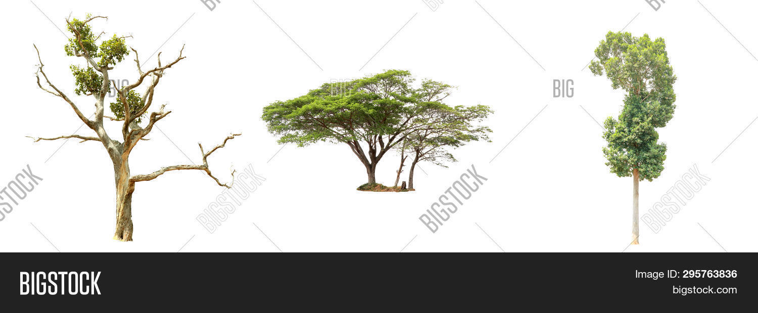 Collection Isolate Image & Photo (Free Trial) | Bigstock
