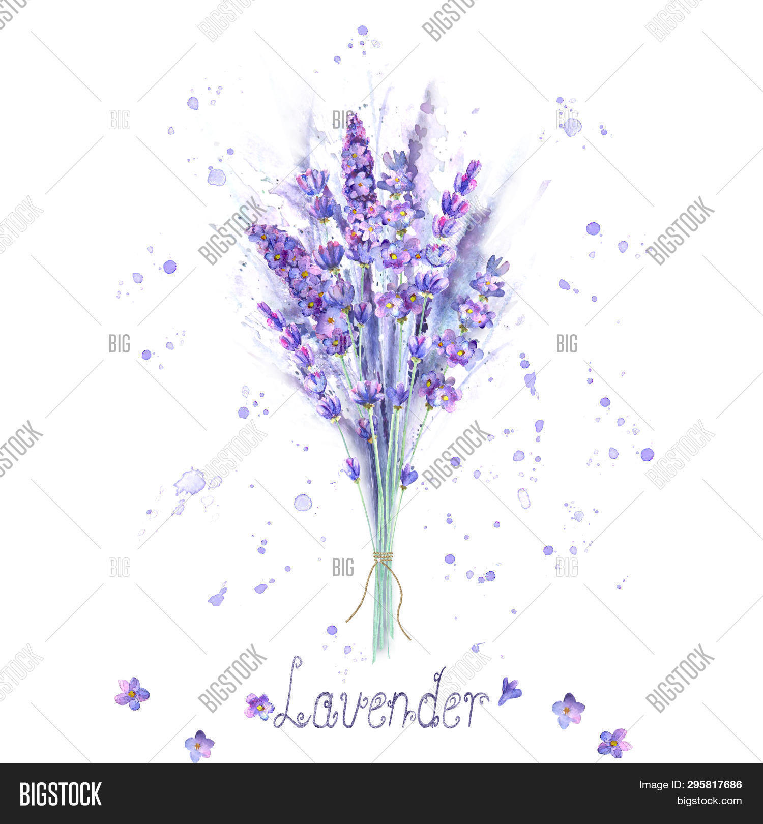 Watercolor Lavender Image & Photo (Free Trial) | Bigstock