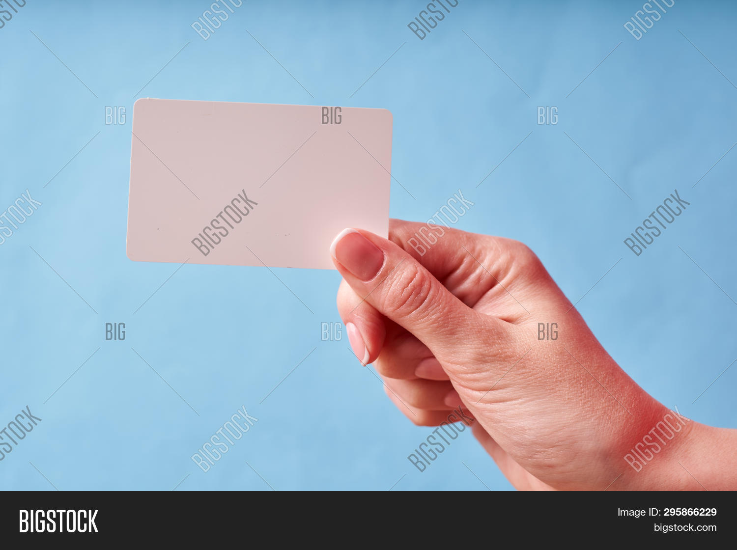 Woman's Hand Holds Image & Photo (Free Trial) | Bigstock