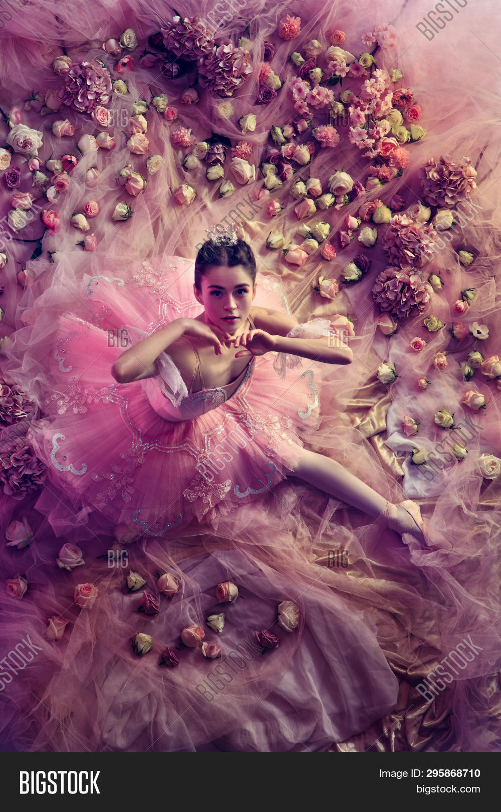 Princess Roses. Top Image & Photo (Free Trial) | Bigstock