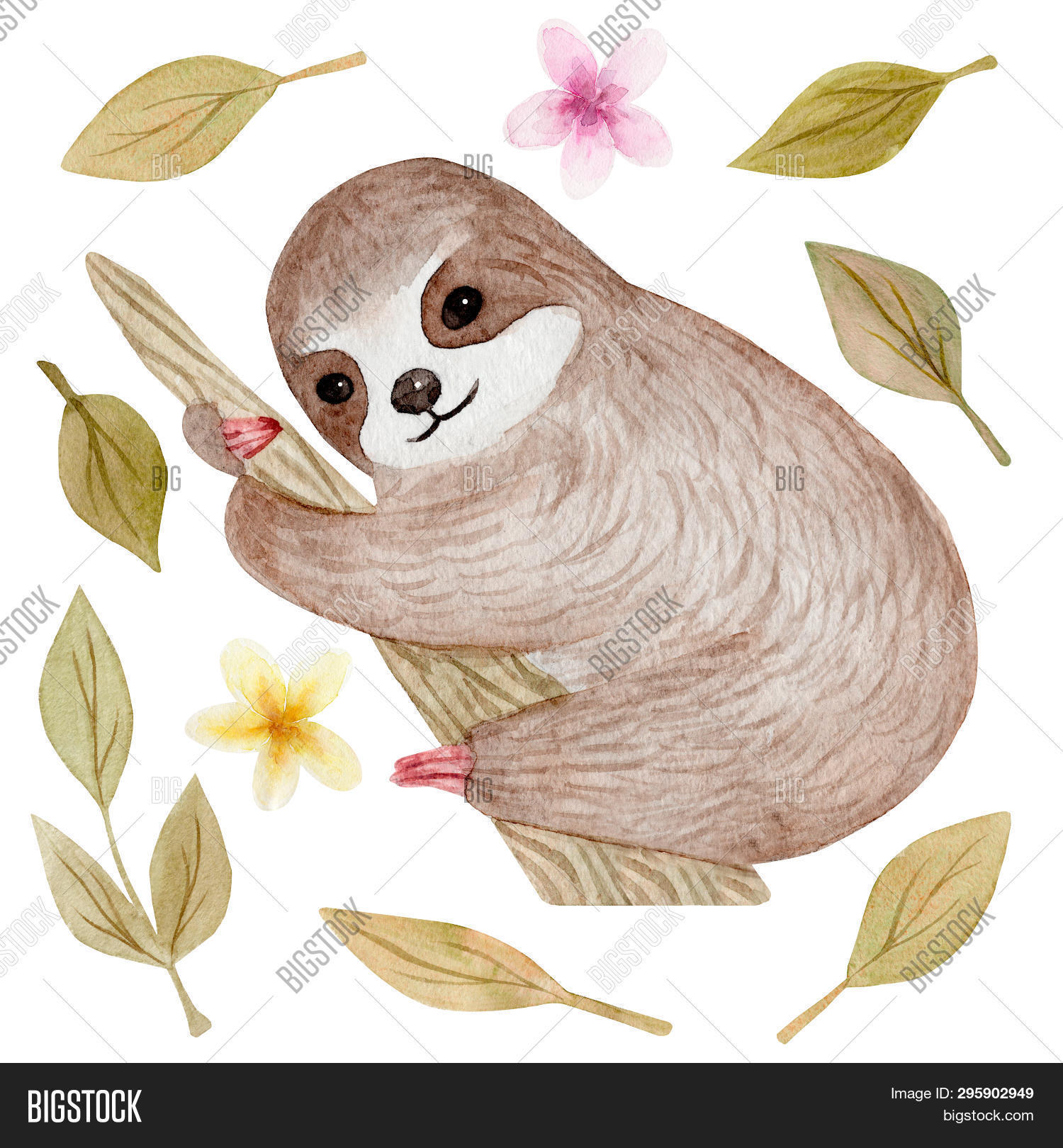 Watercolor Cute Sloth Image & Photo (Free Trial) | Bigstock