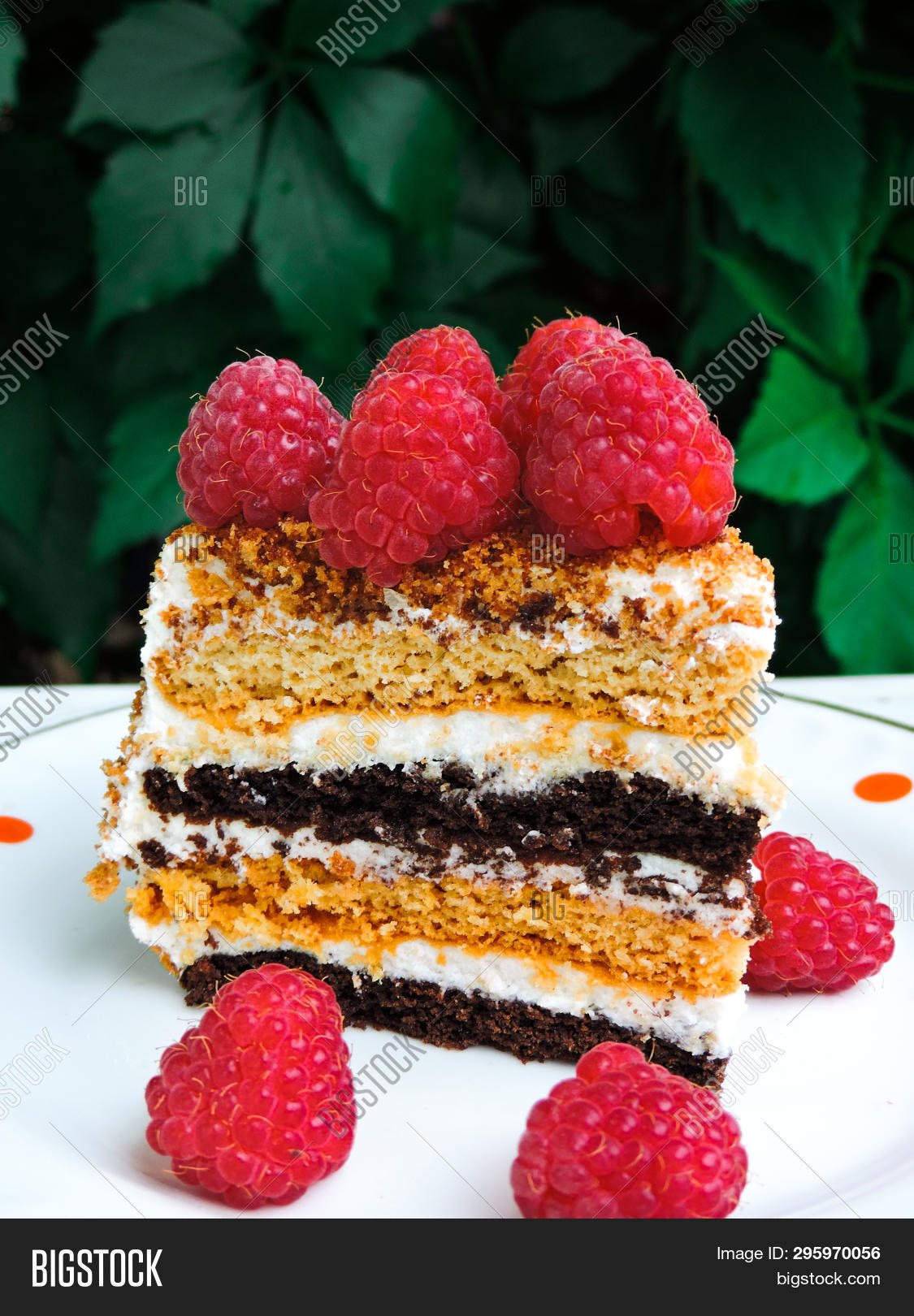 Small Piece Fresh Cake Image & Photo (Free Trial) | Bigstock