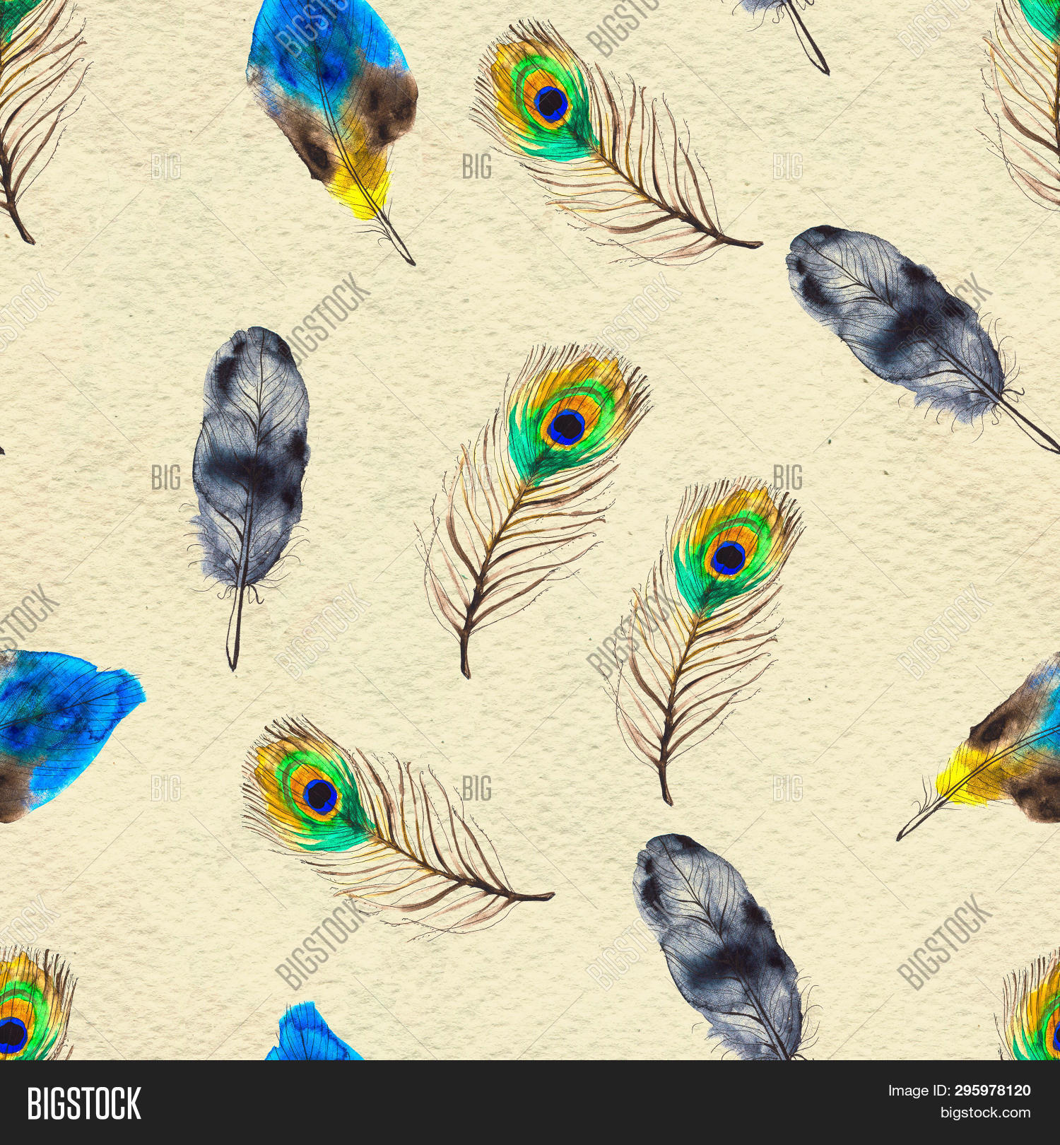 Watercolor Feathers Image & Photo (Free Trial) | Bigstock