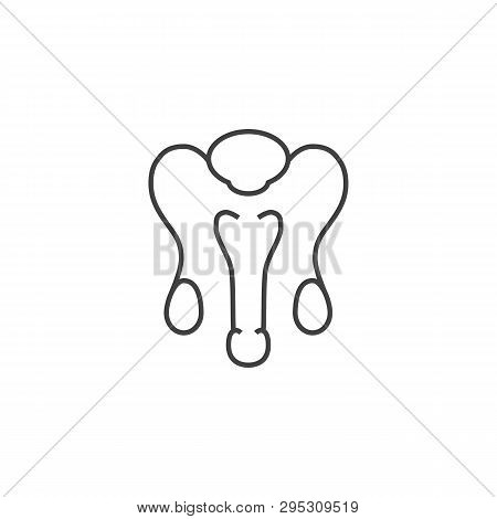 Male Reproductive Vector & Photo (Free Trial) | Bigstock