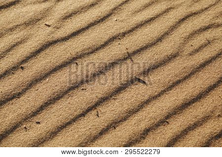Texture Sandy Surface Image & Photo (Free Trial) | Bigstock
