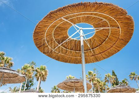 Reed Beach Umbrellas, Image & Photo (Free Trial) | Bigstock