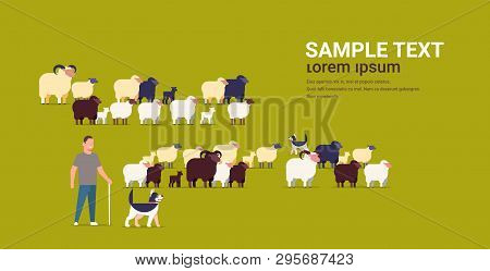 Shepherd Stick Dogs Vector & Photo (Free Trial) | Bigstock