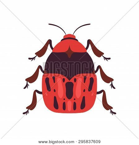 Red Bug Soldier Vector & Photo (Free Trial) | Bigstock