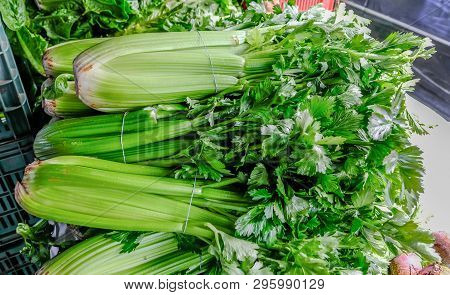Large Green Celery Image & Photo (Free Trial) | Bigstock