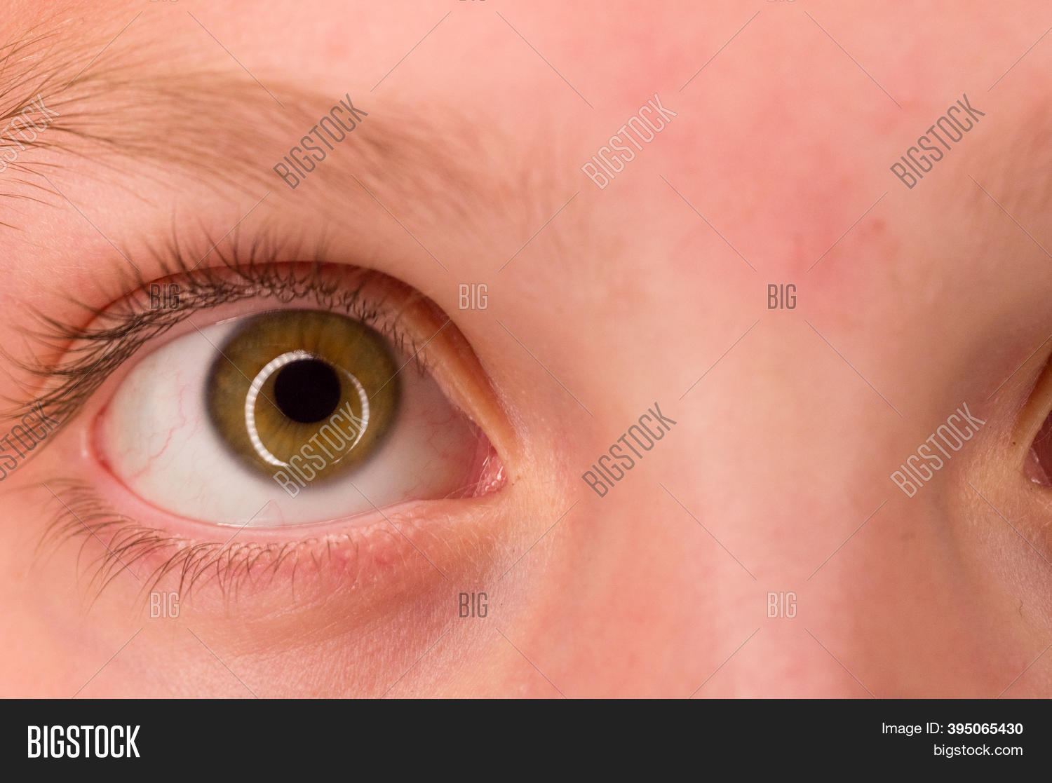 Macro Photo Eye. Photo Image & Photo (Free Trial) | Bigstock